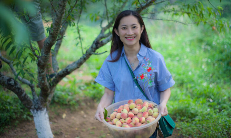Ta Phin Village: Explore Sapa's Astonishing Terraced Fields